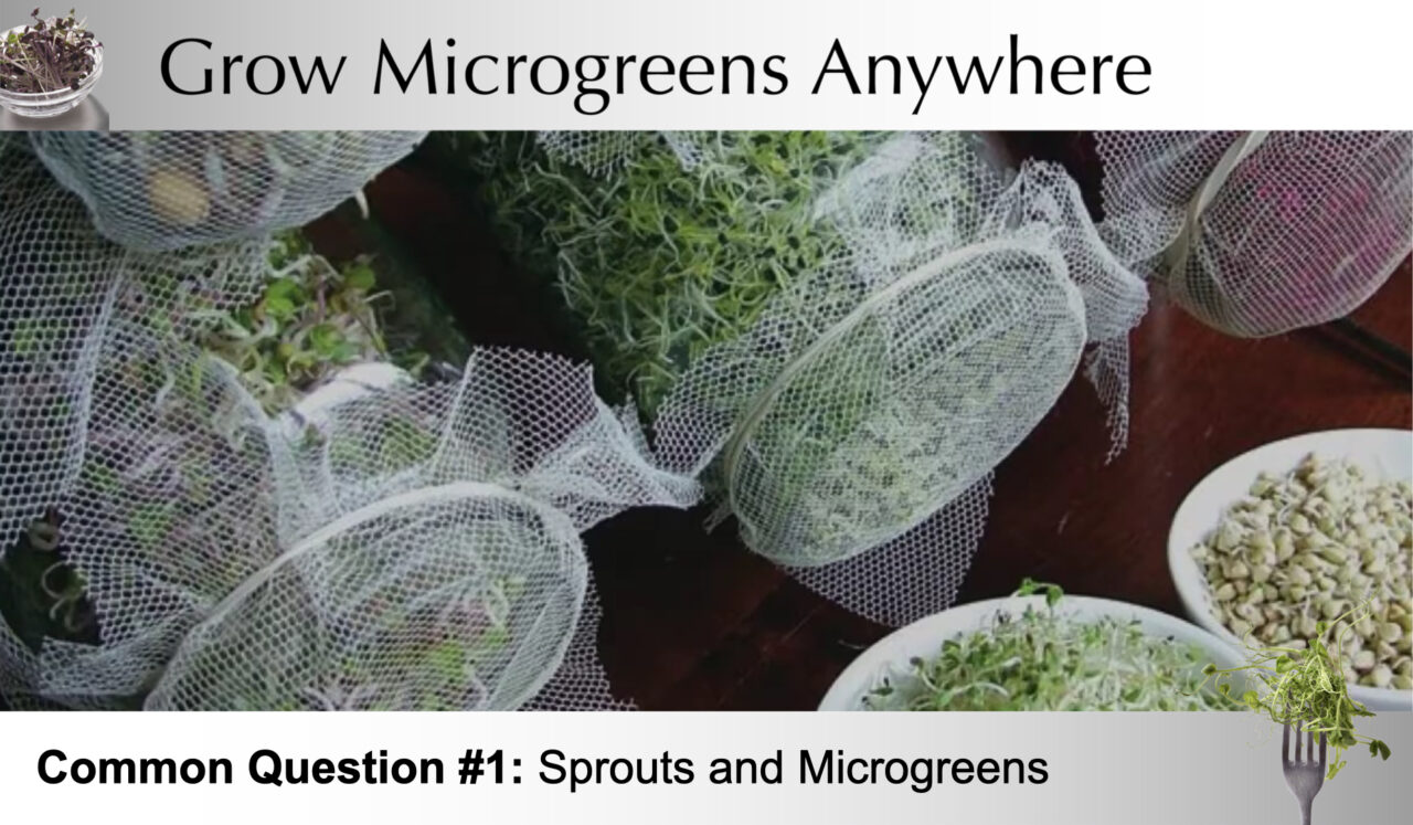 Grow Microgreens Anywhere! - Microgreens Micro Course
