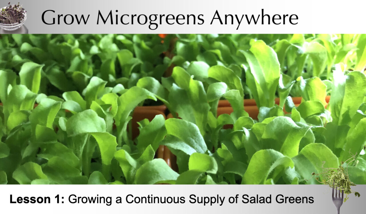 Grow Microgreens Anywhere! - Microgreens Micro Course