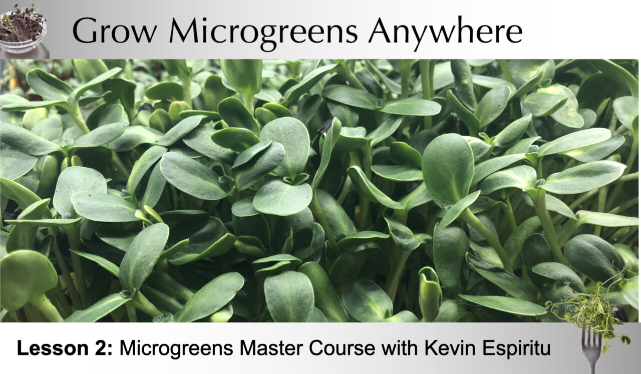 Grow Microgreens Anywhere! - Microgreens Micro Course
