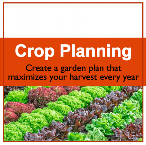 Courses - Vegetable Gardens