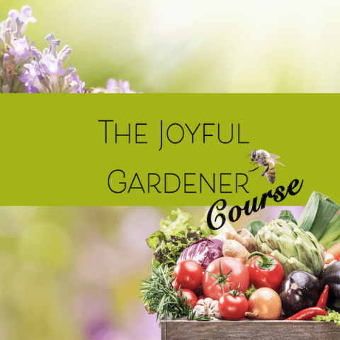 Courses - Vegetable Gardens