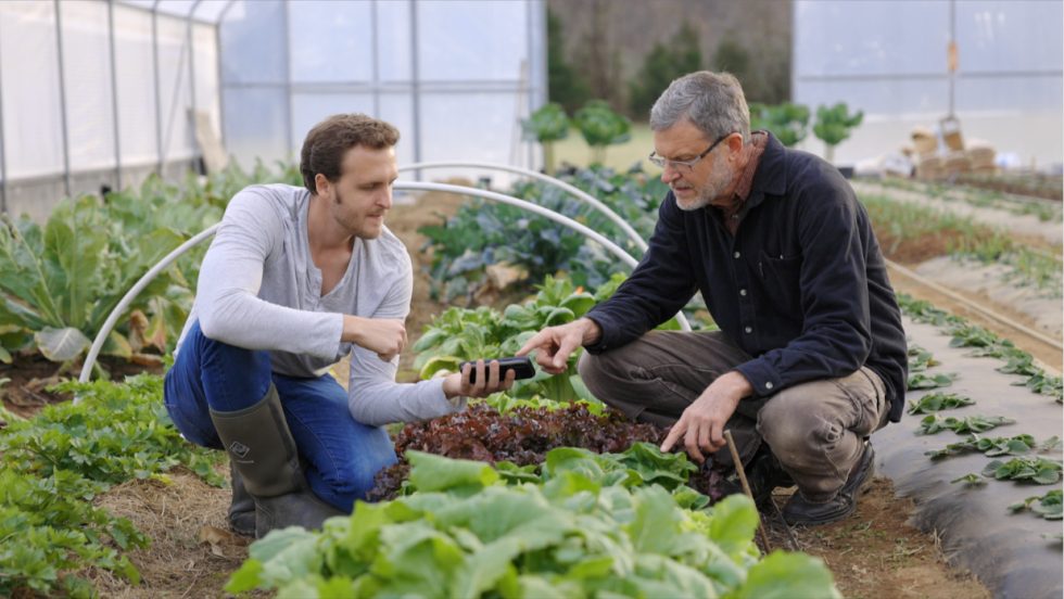 Harvest Hack: How to Grow A Harvest of Fresh Food All Year Long