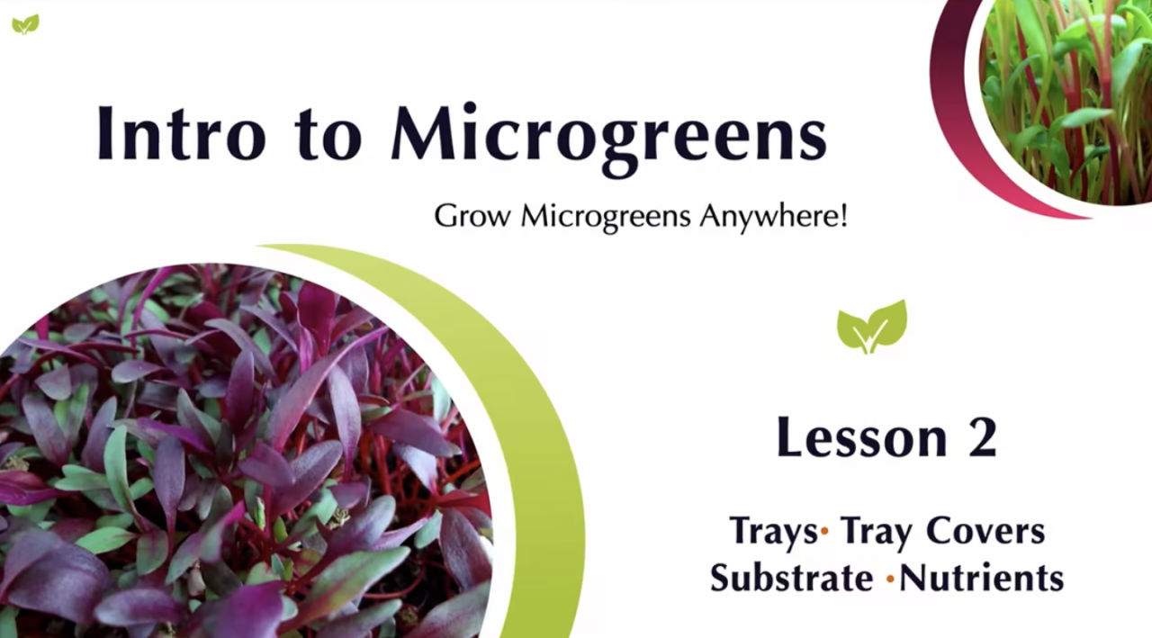 Grow Microgreens Anywhere! - Microgreens Micro Course