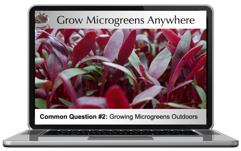 Grow Microgreens Anywhere! - Microgreens Micro Course